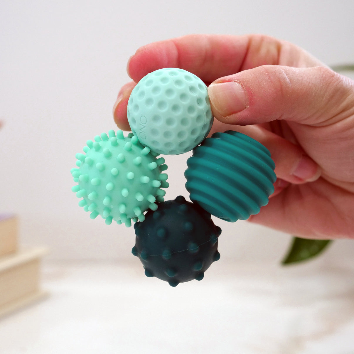 Signets 8 Pack – ONO